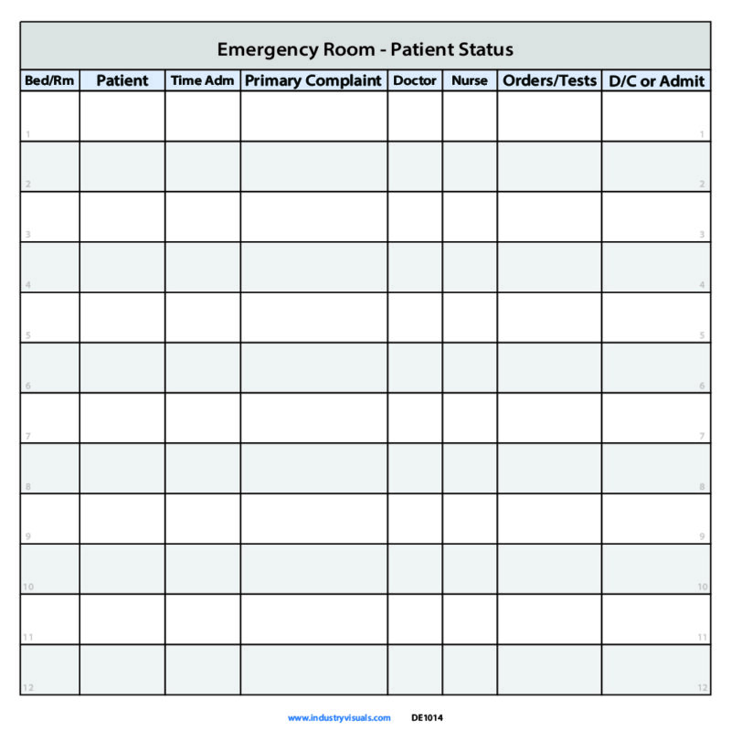 Emergency Room Patient Status – Industry Visuals